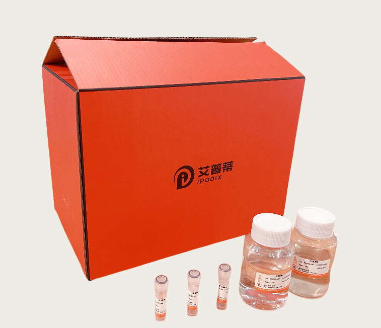 MIP-1 alpha Rabbit mAb, unconjugated, detector(PBS Only)_一抗_抗体_产品_湖北艾普蒂 ...